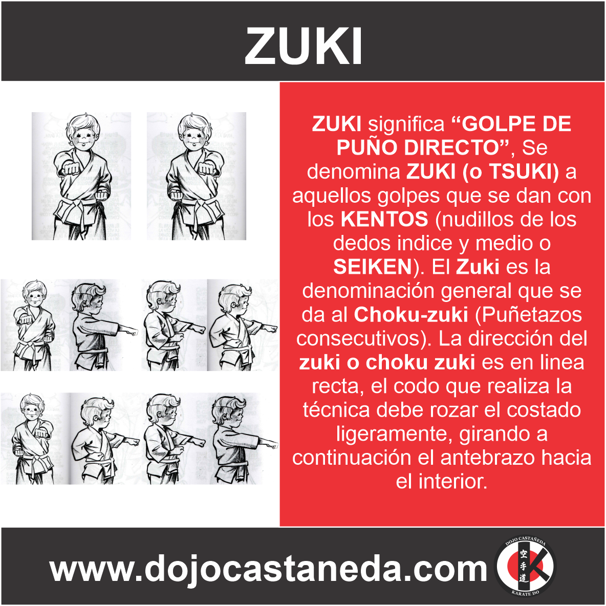 ZUKI O GOLPE DIRECTO KARATE SHOTOKAN - Dojo Castañeda Karate Do
